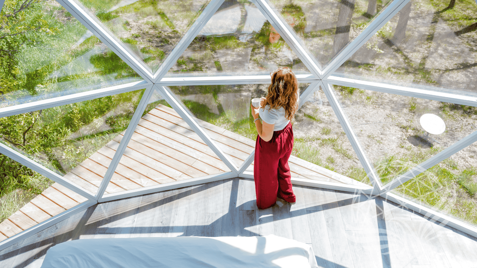 Moonlit Canopy: Glamping Success with Phoenix Domes