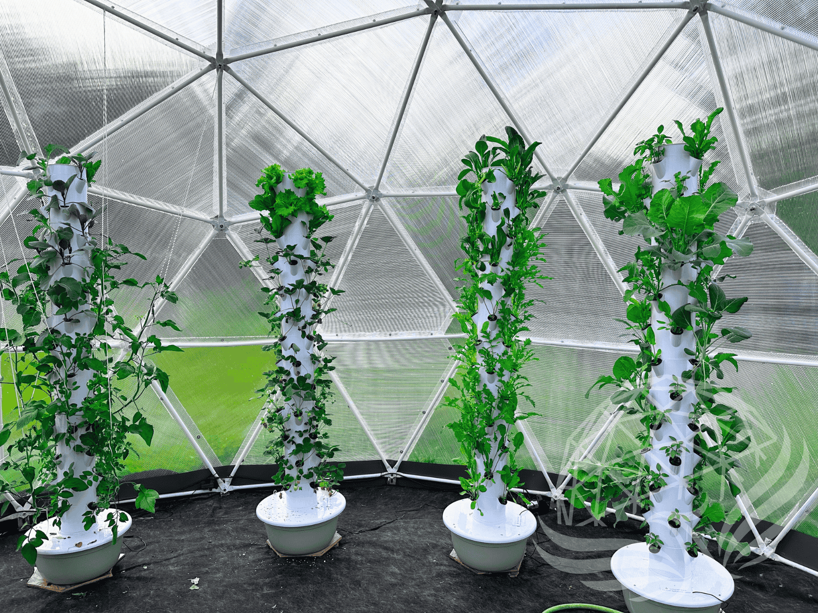 Greenhouse Domes | Phoenix Domes