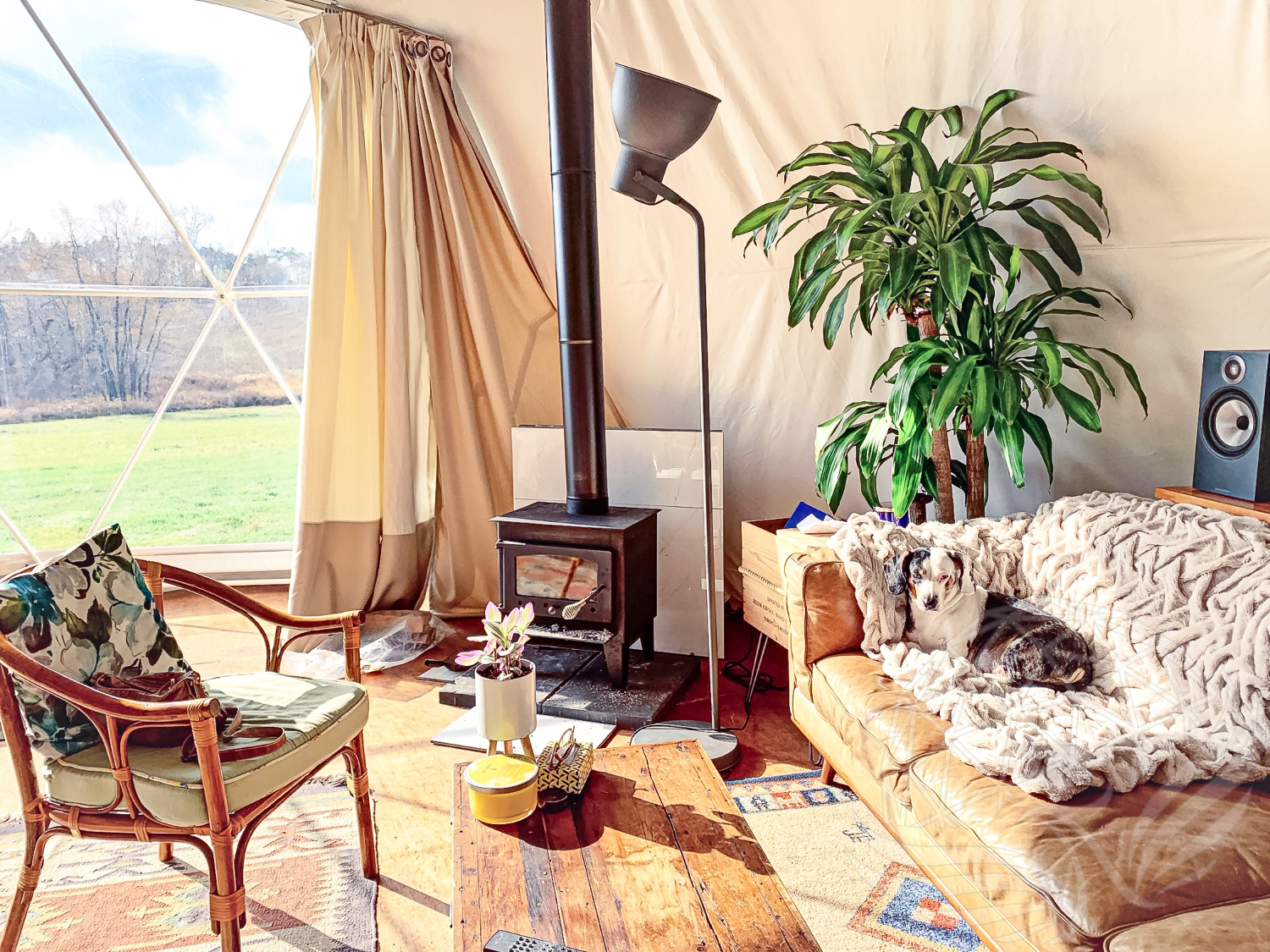 Custom Designed Domes | Phoenix Domes