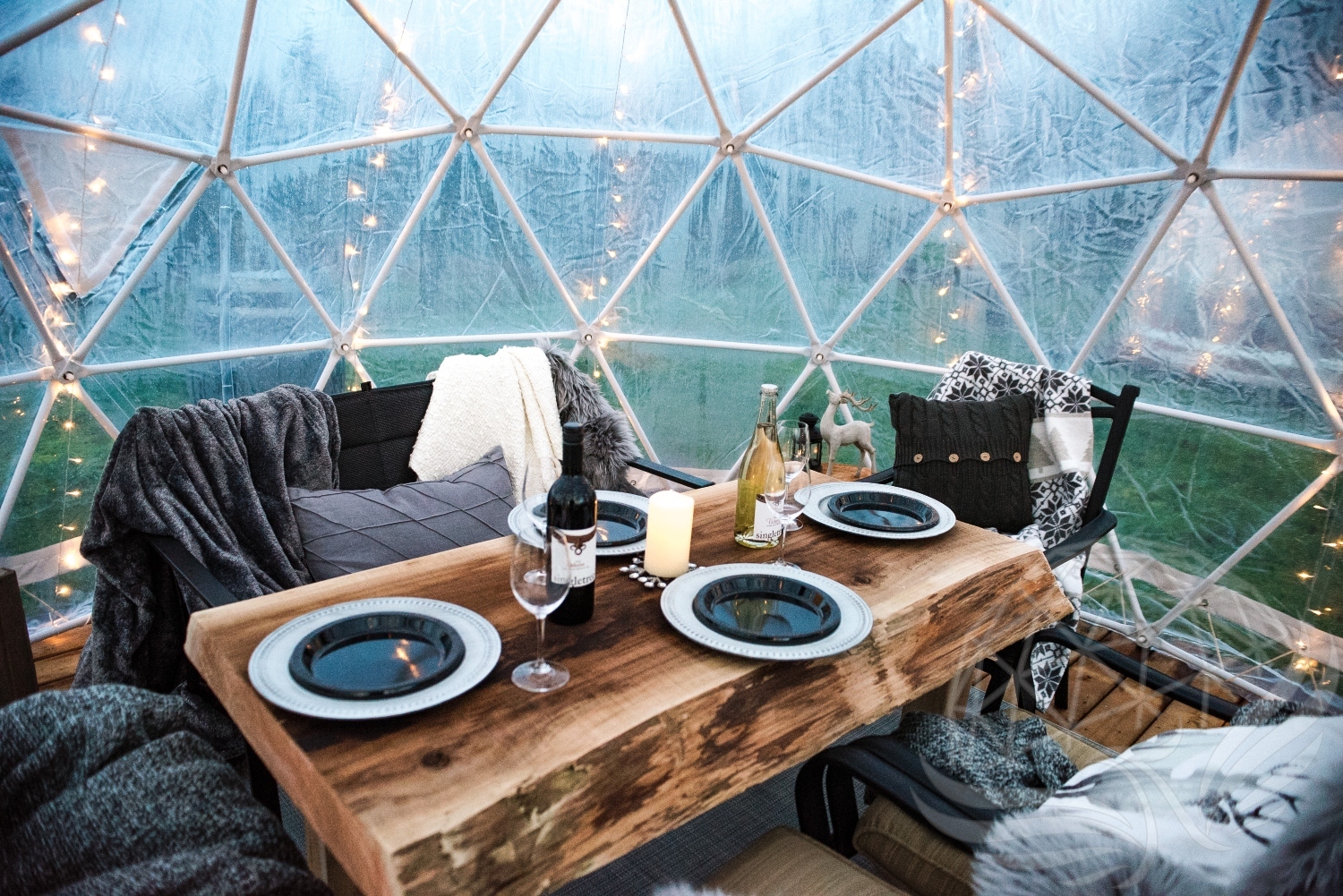 Restaurant/Patio Domes | Phoenix Domes