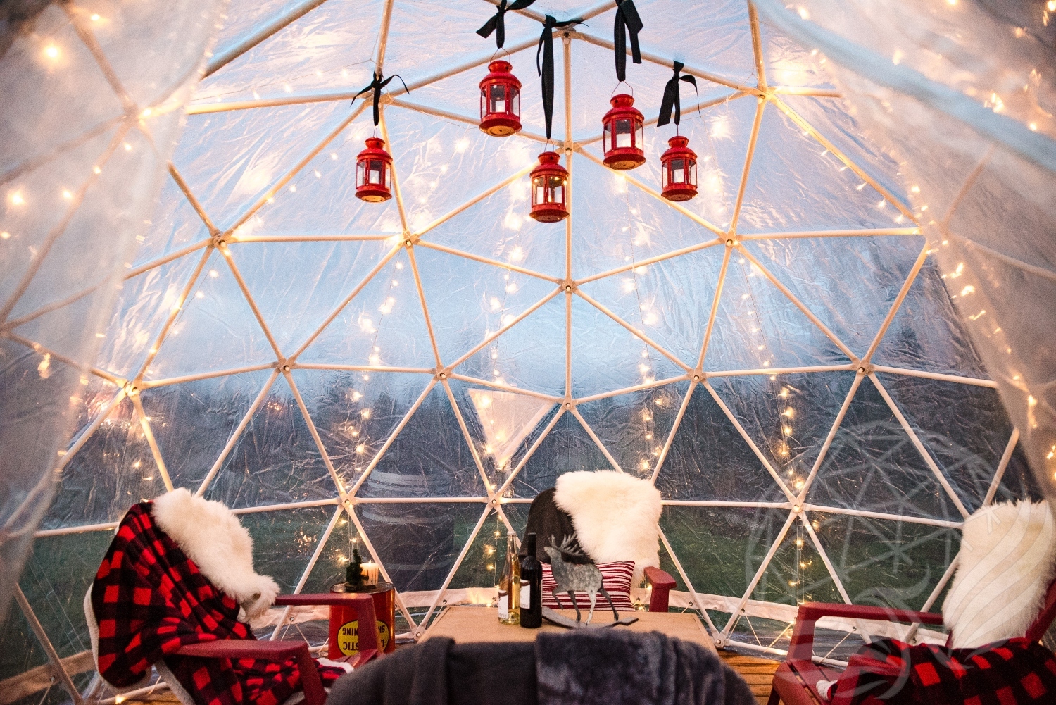 Clear PVC Domes | Phoenix Domes