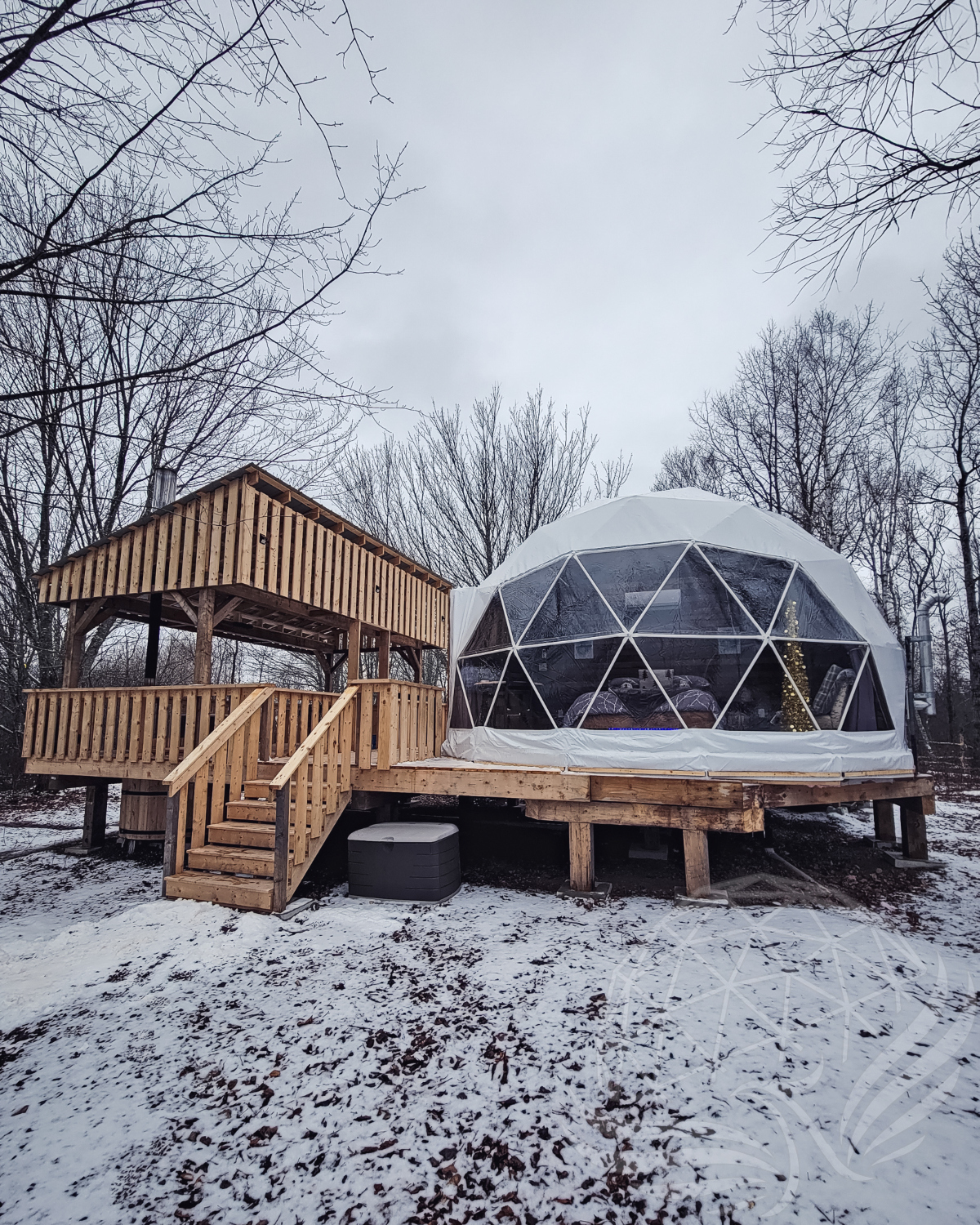 20ft / 6m Geodesic Domes | Phoenix Domes