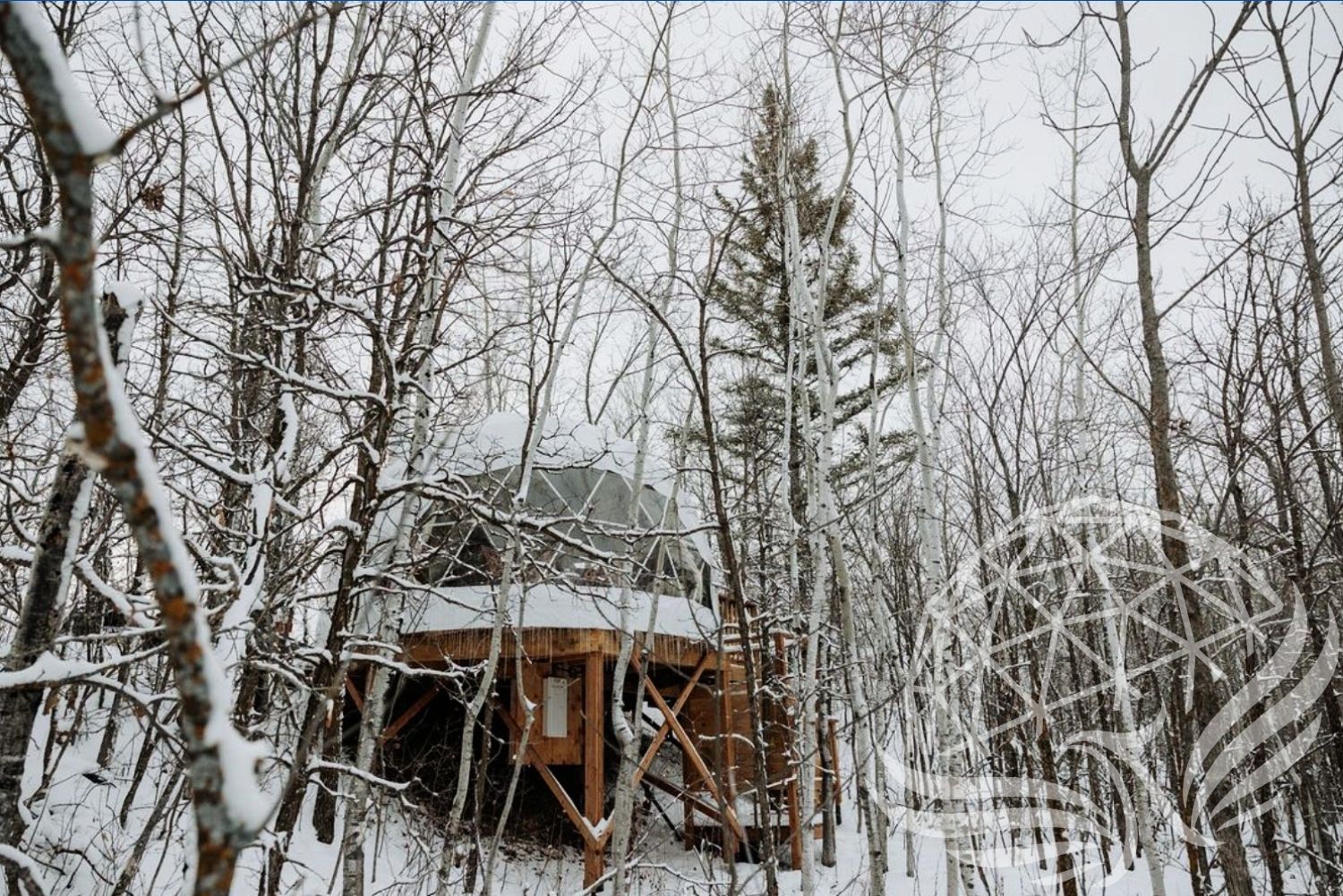 5m Dome Gallery | Phoenix Domes