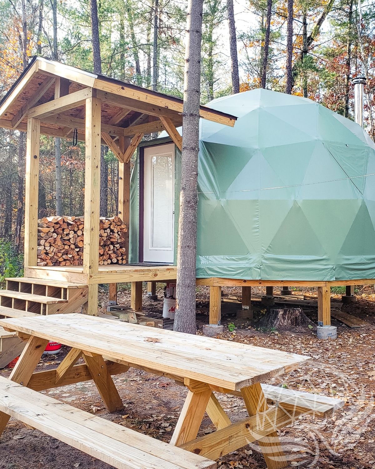 6m Dome Gallery | Phoenix Domes