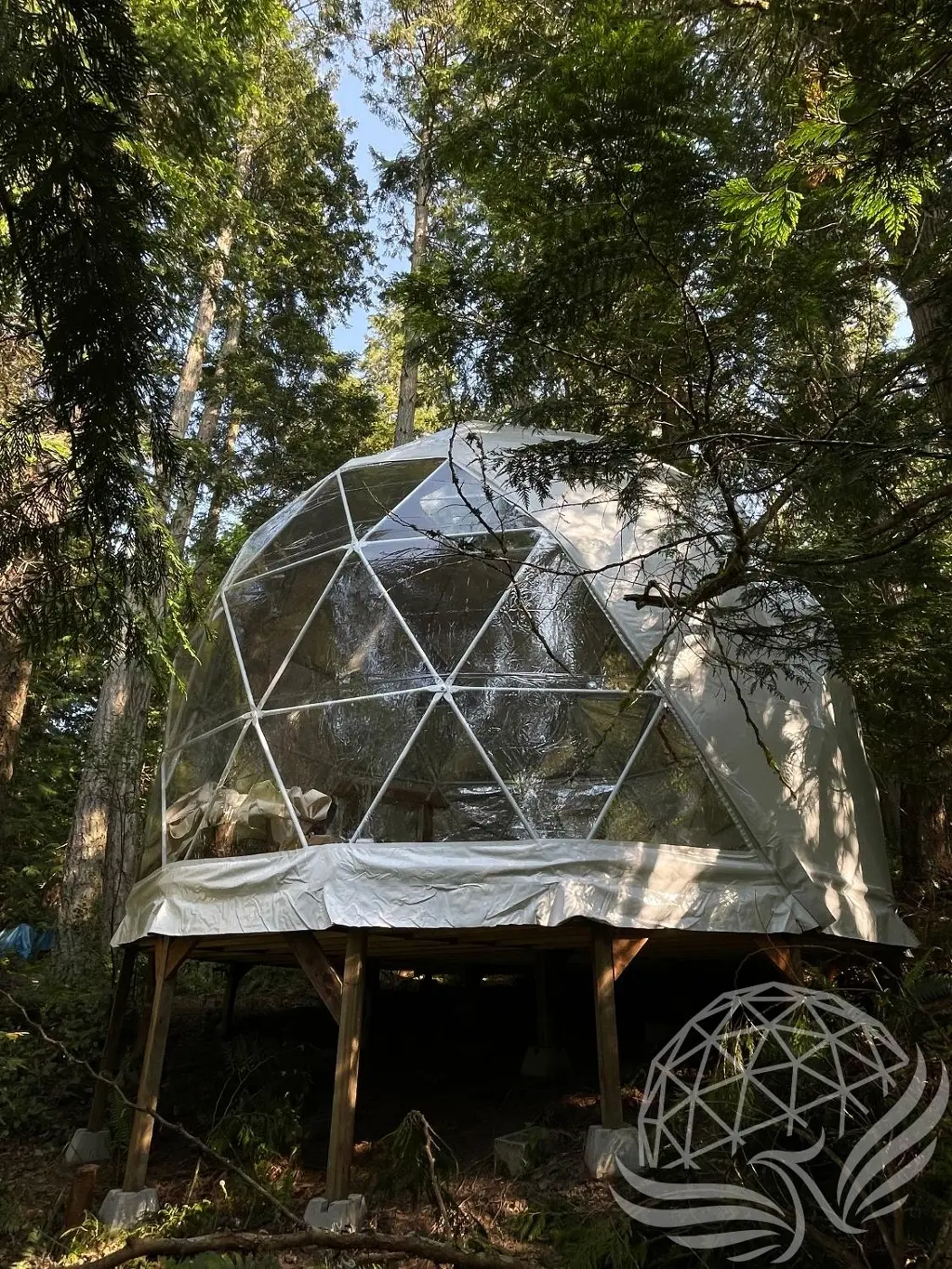 7m Glamping Dome | Phoenix Domes