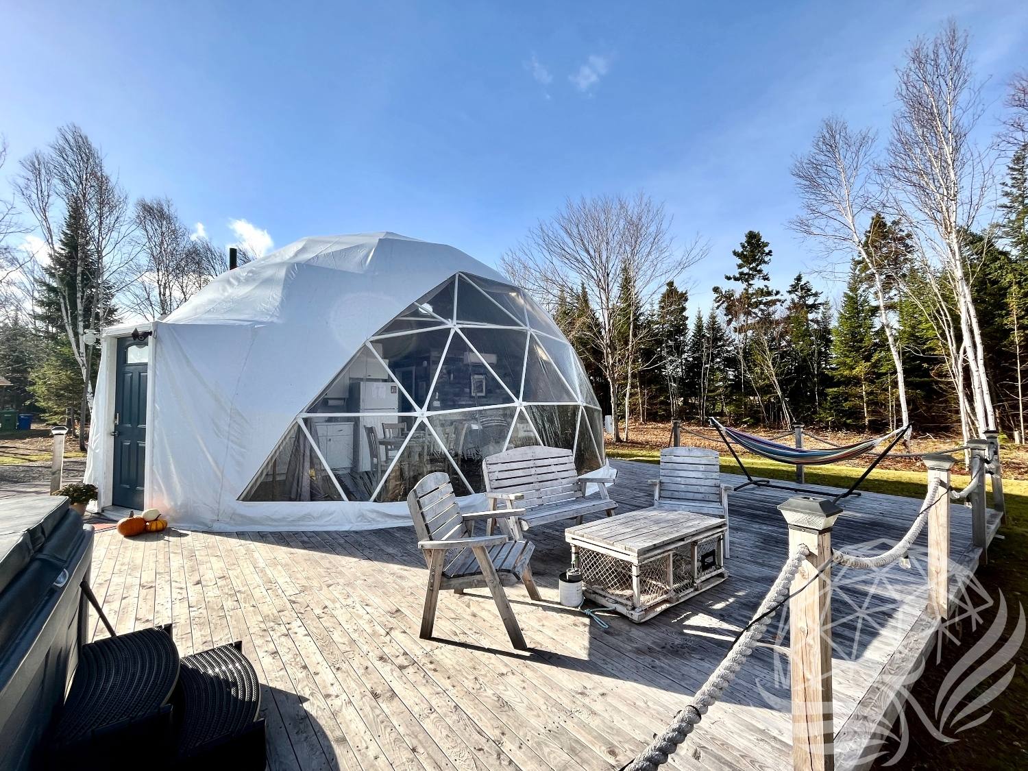 9m Dome Gallery | Phoenix Domes