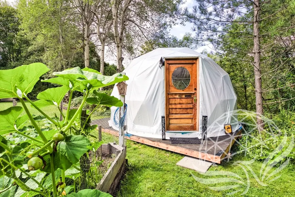 5m Domes | Phoenix Domes