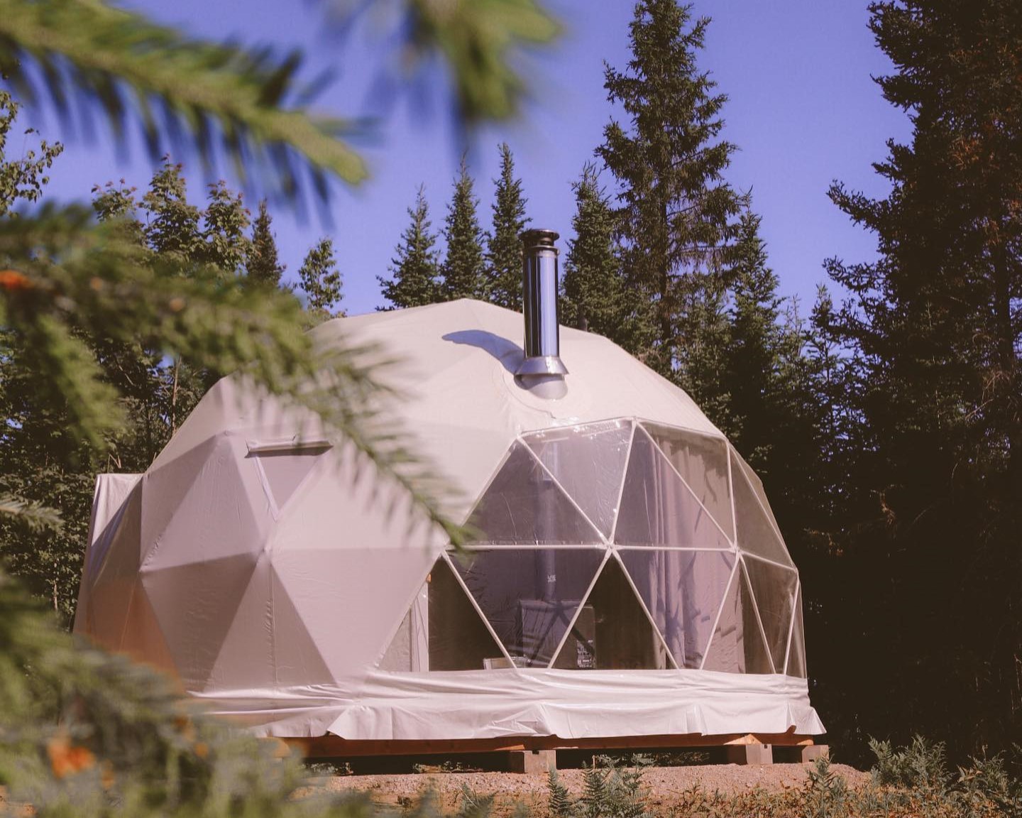 Customer Stories & Testimonials | Phoenix Domes