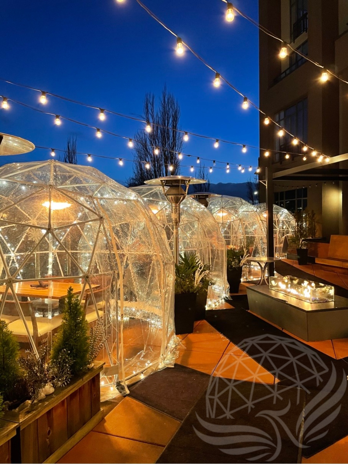 Clear PVC Domes | Phoenix Domes