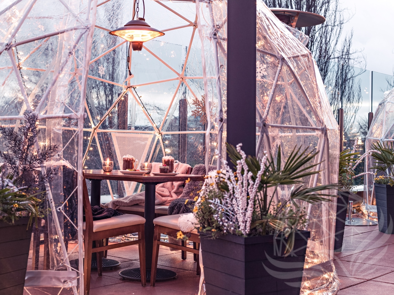 Restaurant/Patio Domes | Phoenix Domes