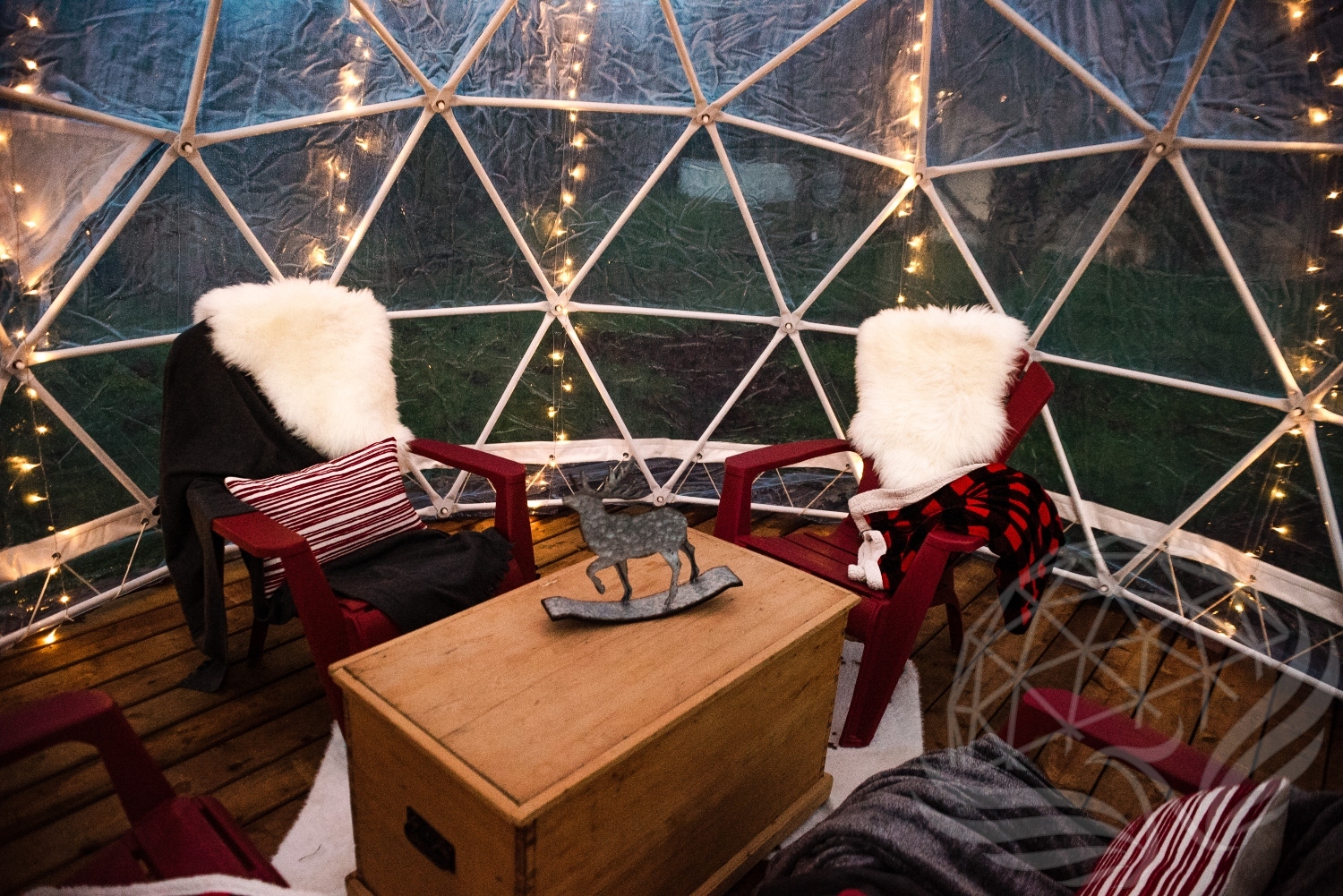 Restaurant/Patio Domes | Phoenix Domes