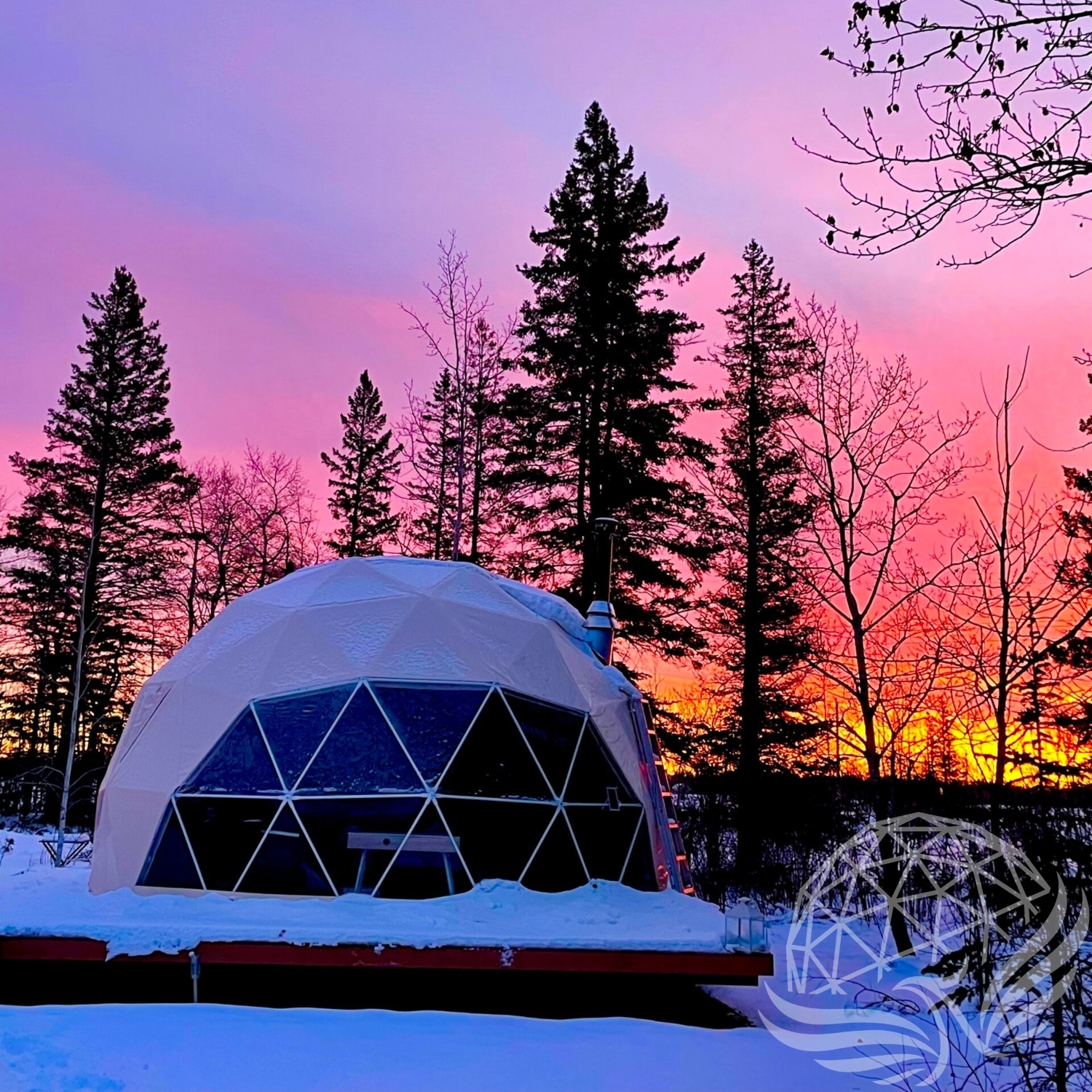 6m Dome Gallery | Phoenix Domes